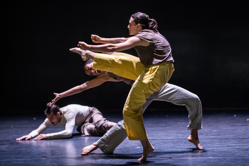 Arte Musical Mesa Arts Center Performing Arts Shows Concerts