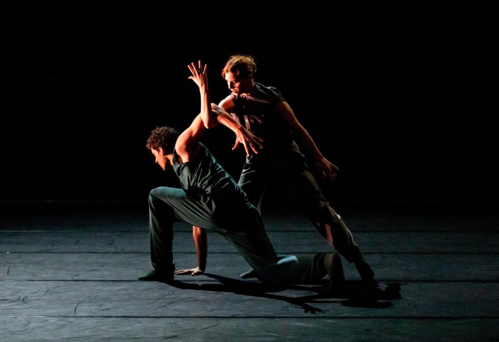 Dansopleidingenspecial 2022