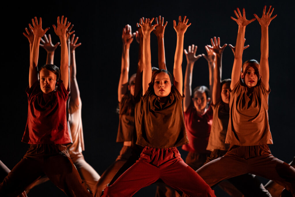 Dansopleidingenspecial 2023